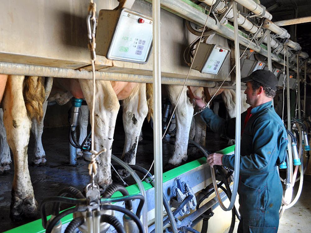 notre ferme | La grange Combaret - Bienvenue à la ferme de la Grange ...