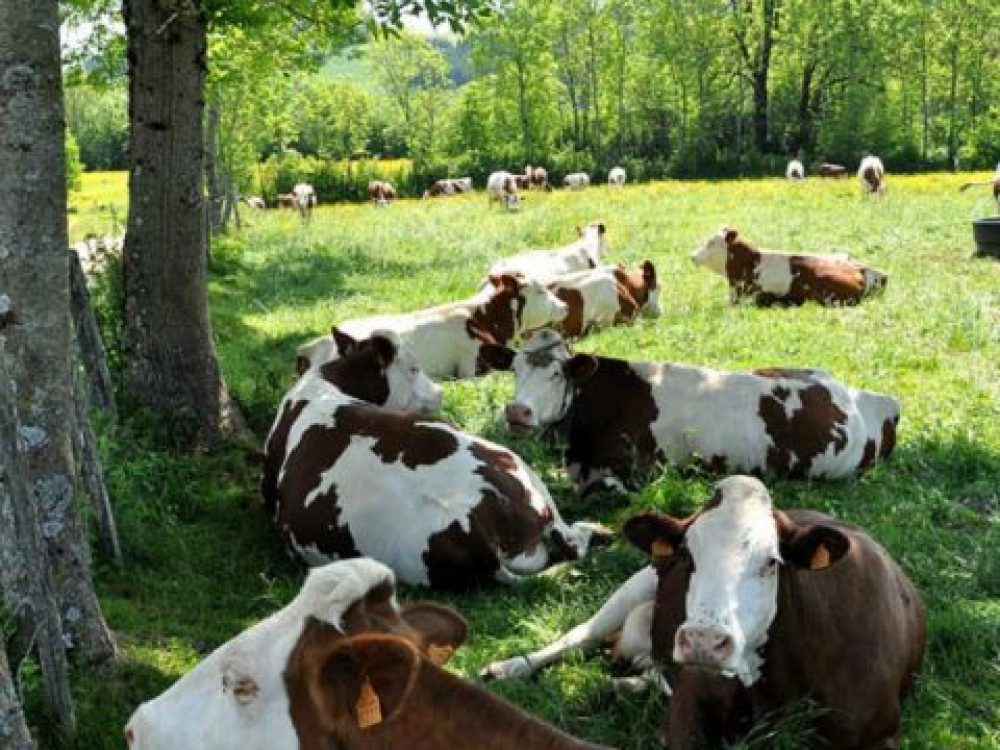 notre ferme | La grange Combaret - Bienvenue à la ferme de la Grange ...